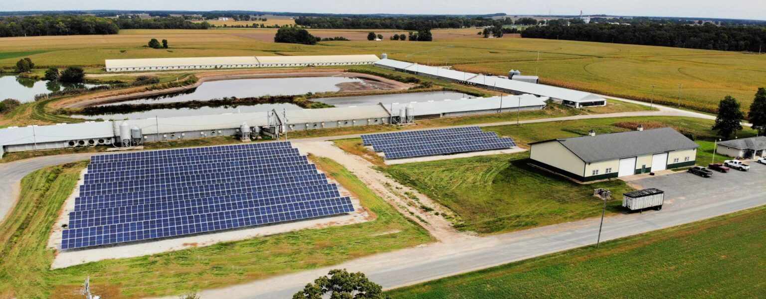 Home - The Maschhoffs